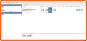 12 Fast and Free IDM Alternatives For Windows, macOS, and Linux