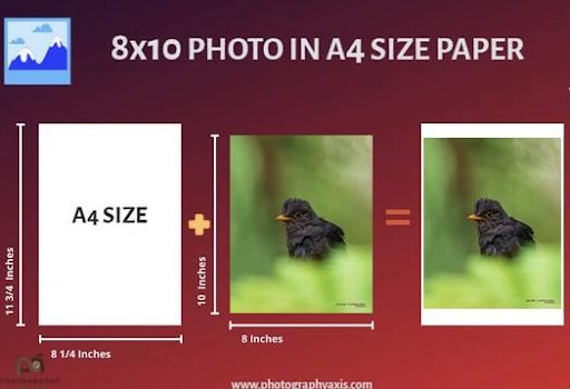 How big is 8x10 picture and how to measure?