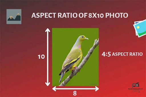 How big is 8x10 picture and how to measure?