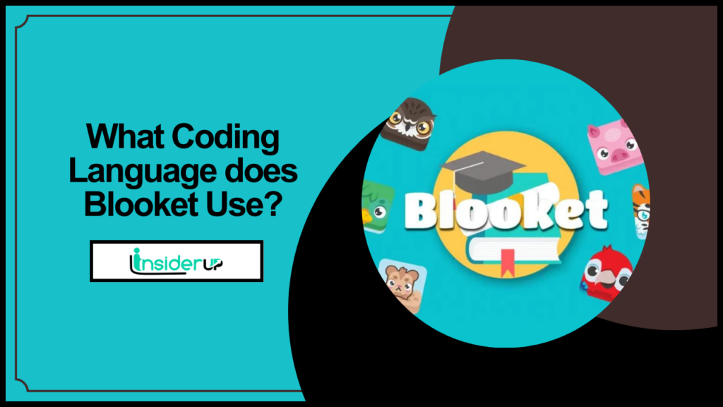 What Can You Do With XP in Blooket