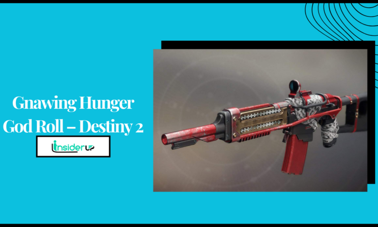 Gnawing Hunger God Roll – Destiny 2