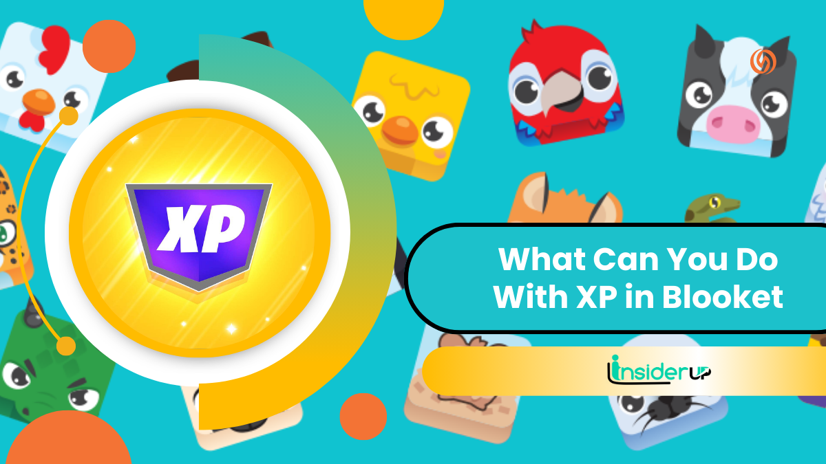What Can You Do With XP In Blooket